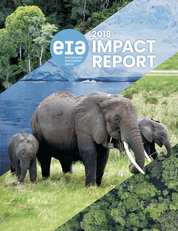EIA 2018 Impact Report — EIA