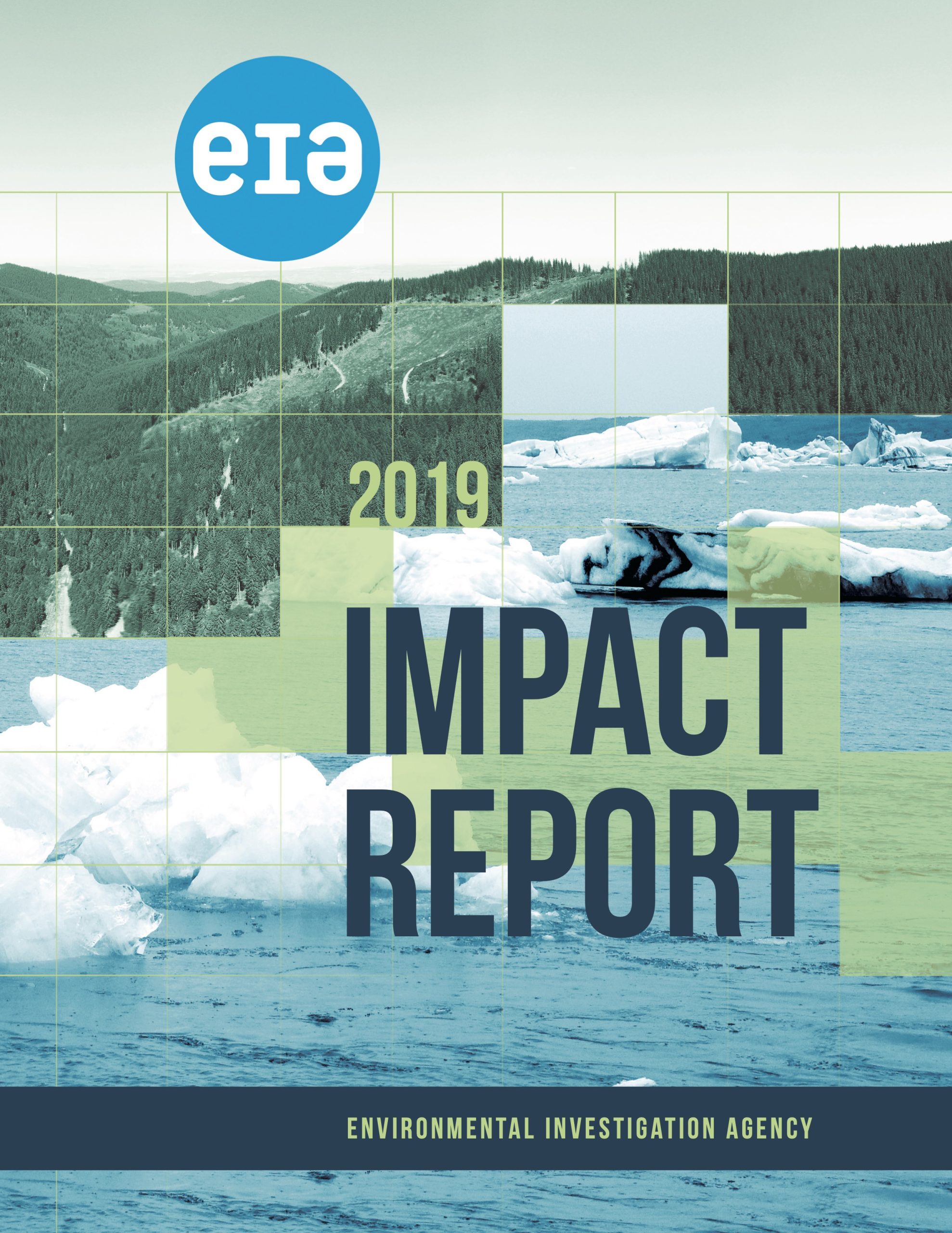 2019 Impact Report — EIA
