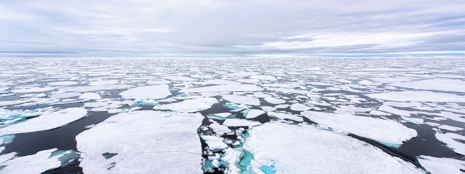EIA Case for Pan-Arctic Marine Protected Areas Network — EIA