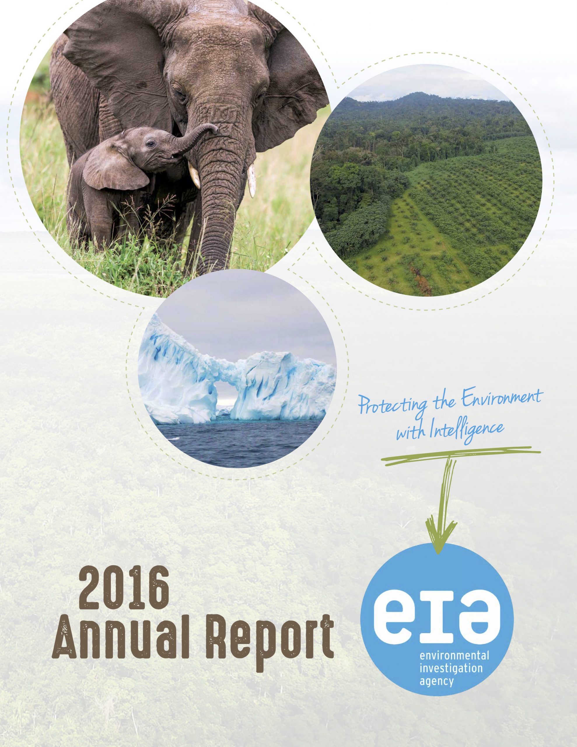 EIA's 2016 Annual Report — EIA