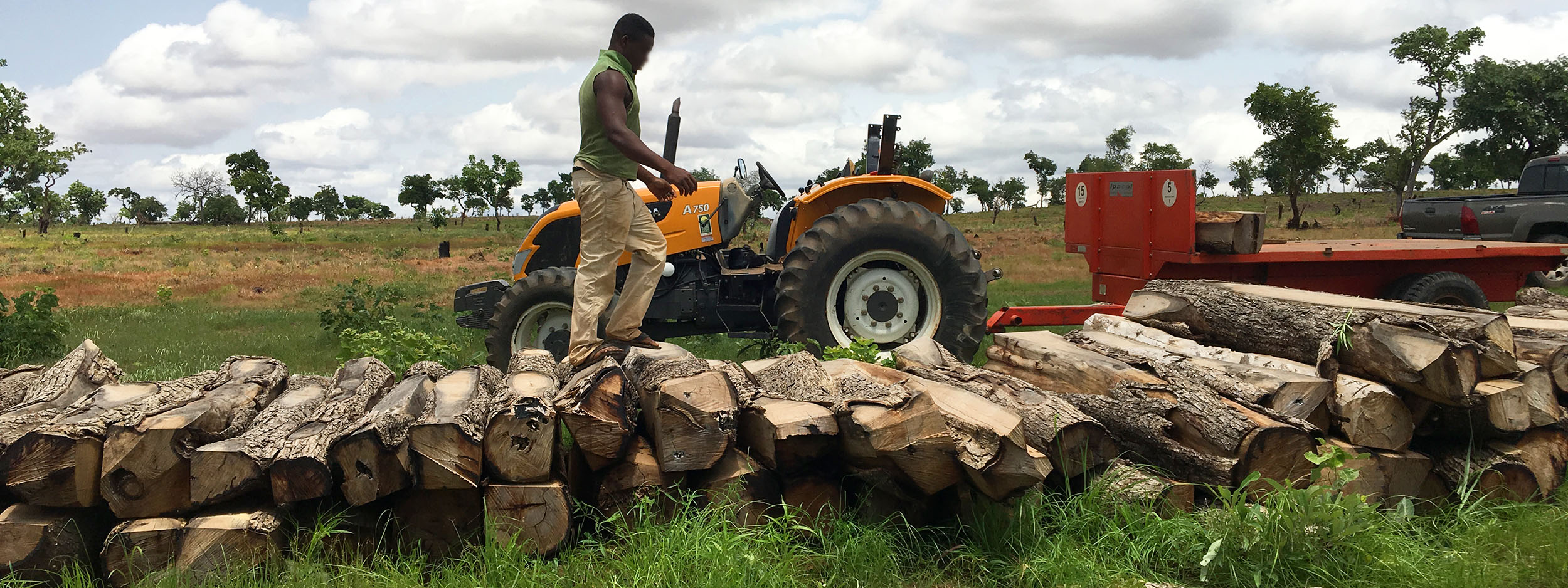 BAN-boozled: New report exposes institutionalized timber trafficking in ...