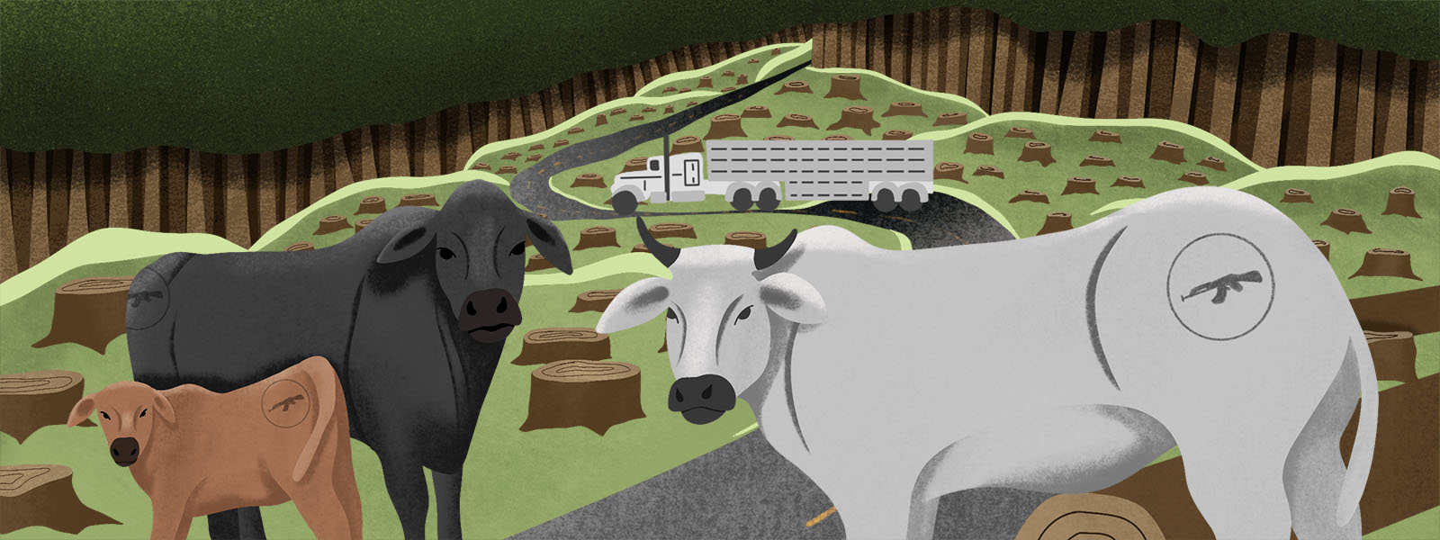 Tainted Beef — EIA