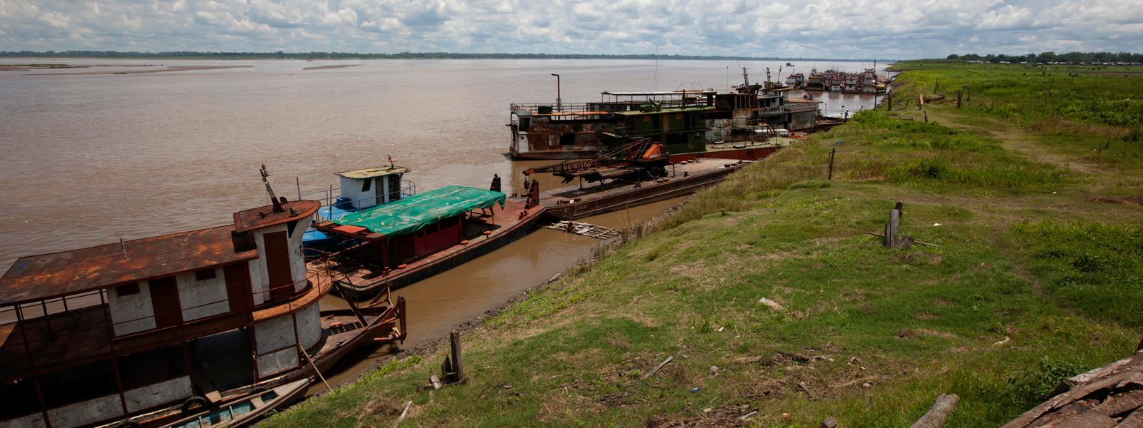 Translation by EIA: Step by Step, Laundering Peruvian Timber — EIA