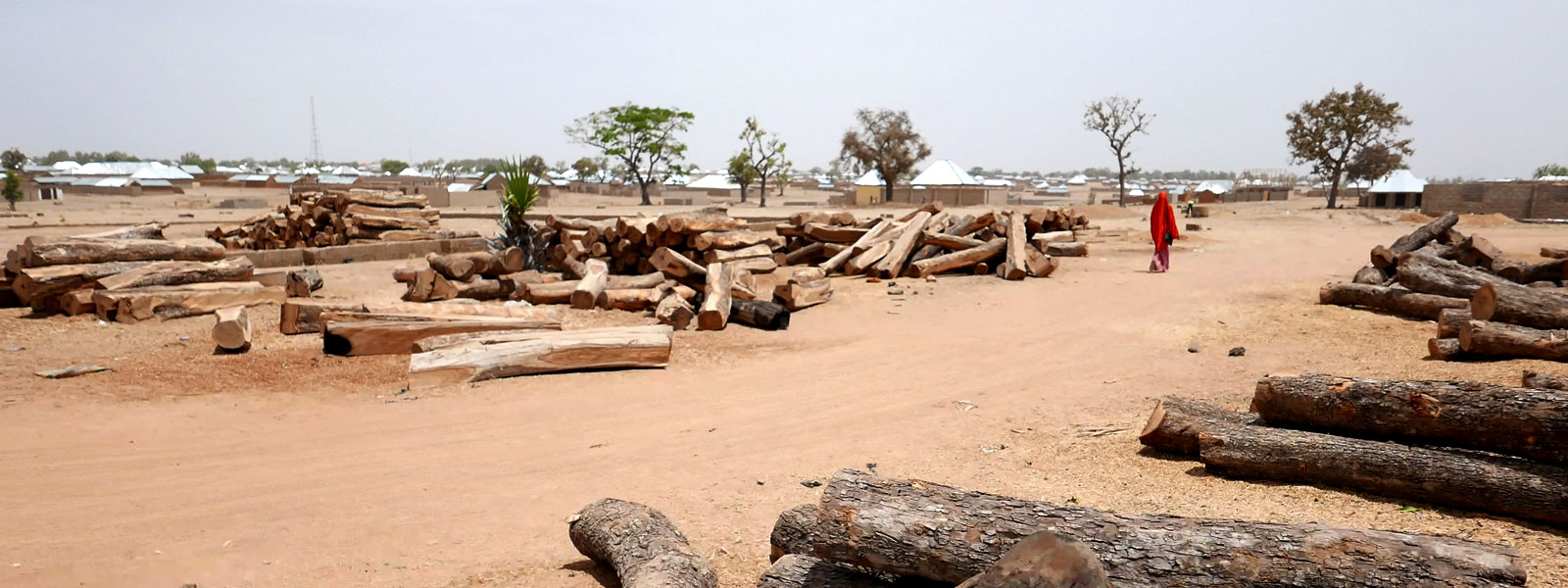 Historic Endangered Timber Smuggling Case Revealed Between Nigeria and ...