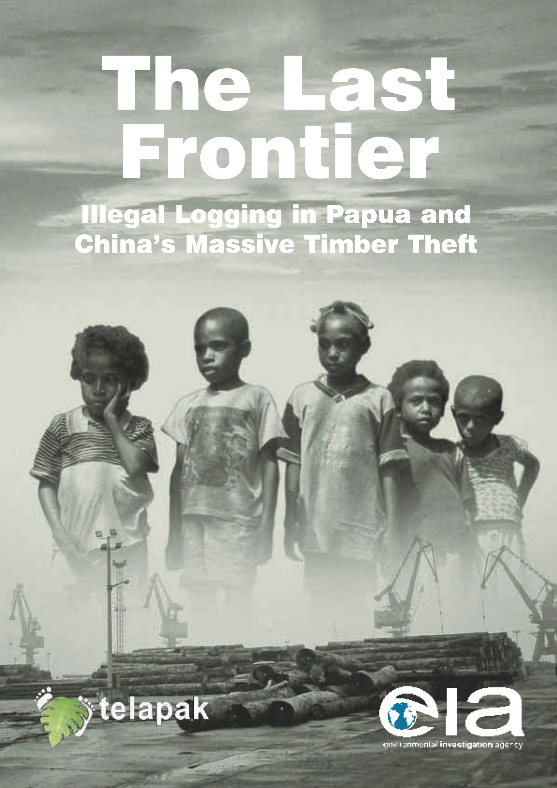 The Last Frontier: Illegal Logging in Papua and China’s Massive Timber ...
