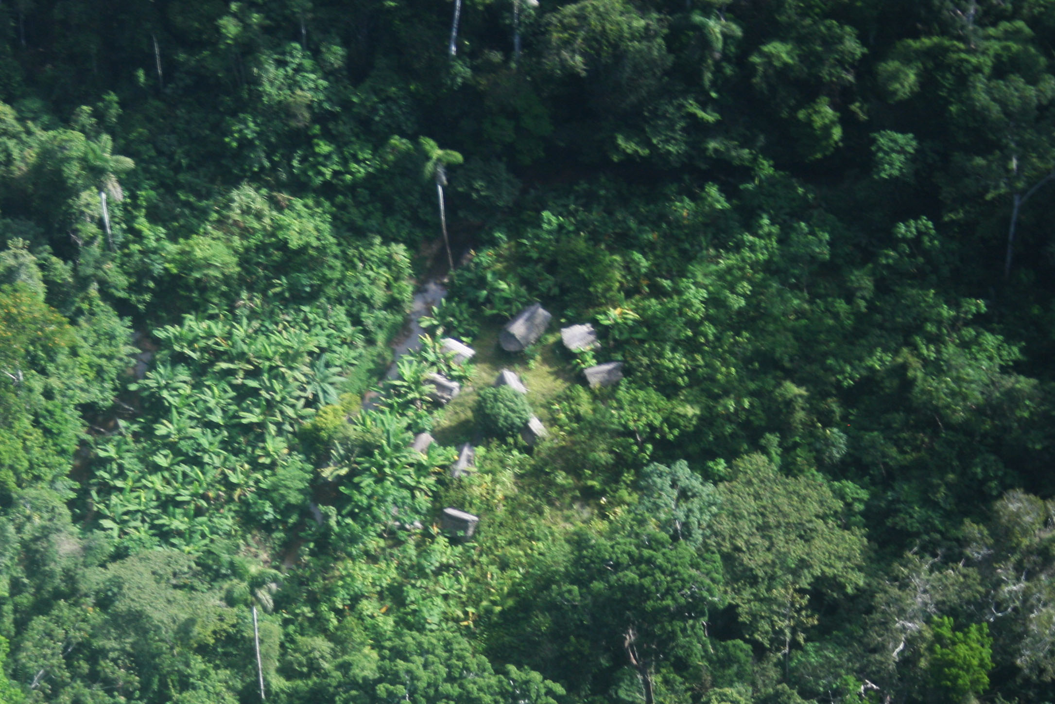 Indigenous Peoples Sue Peruvian Government over Re-opening Logging in ...