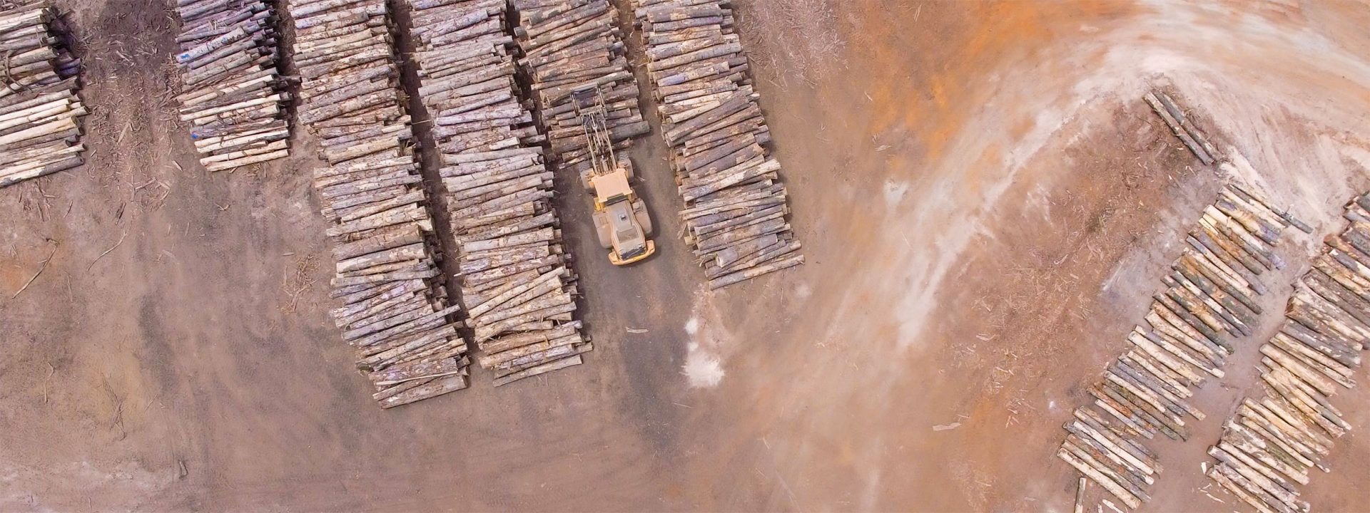 New LEED Credit Rewards Timber Transparency and Traceability — EIA