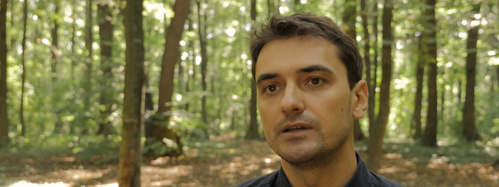 Alex Gavan speaks about Romanian Forests — EIA