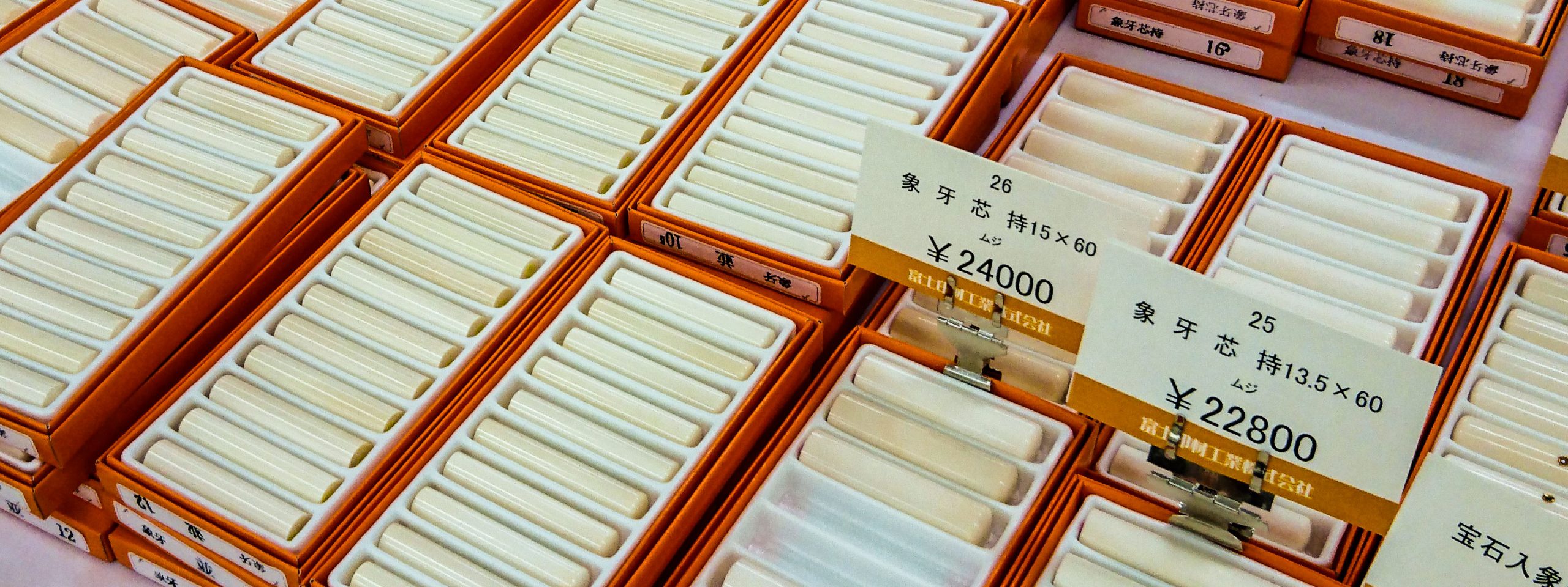 Thirty Years Since the International Ivory Ban, Say Goodbye to Ivory ...