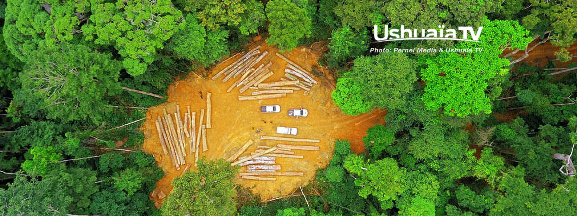 “War on Timber” in Gabon: It Is Time to Win It — EIA