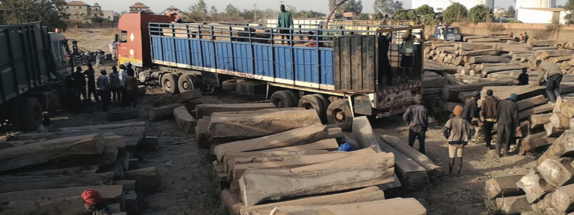 Lacey Act: Landmark Legislation with Global Impacts for Forest ...