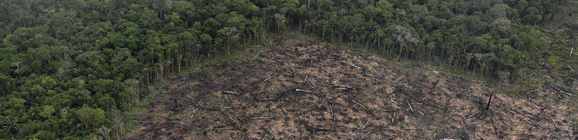 Commodity-Driven Deforestation — EIA