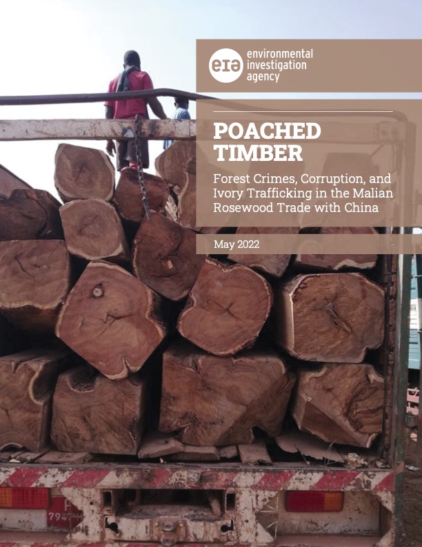 Poached Timber — EIA