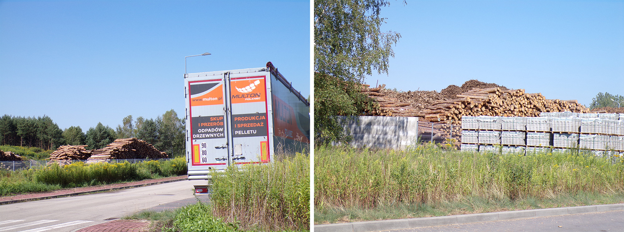 The EU’s Renewable Energy Policies Driving the Logging and Burning of ...