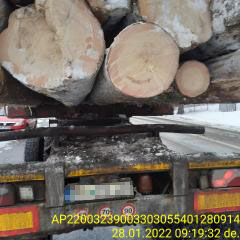 The EU’s Renewable Energy Policies Driving the Logging and Burning of ...