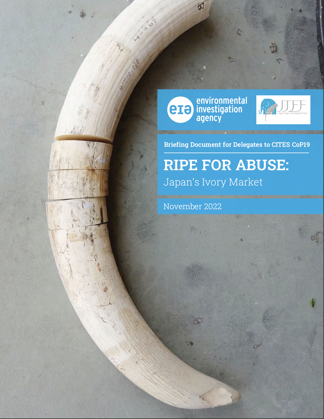 Ripe for Abuse: Japan’s Ivory Market — EIA