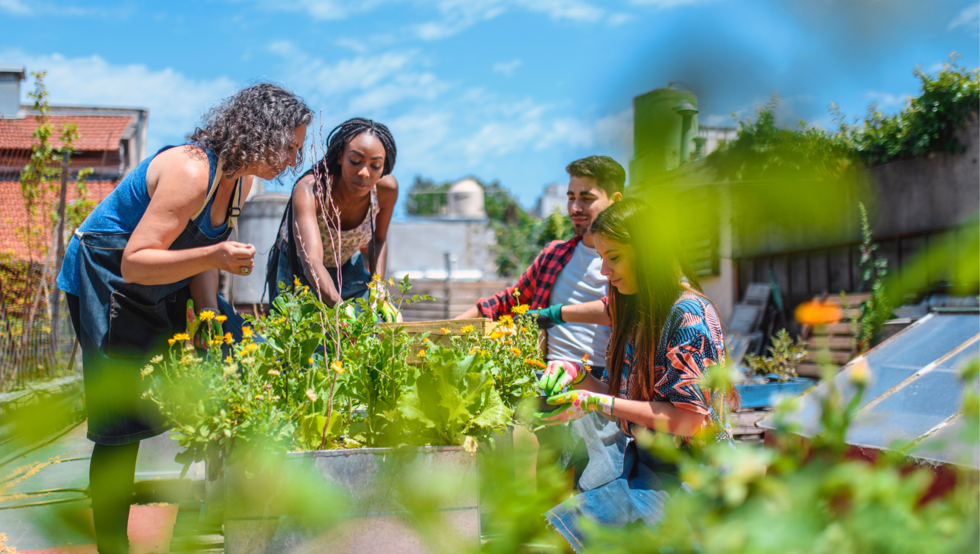 Grassroots Action — EIA