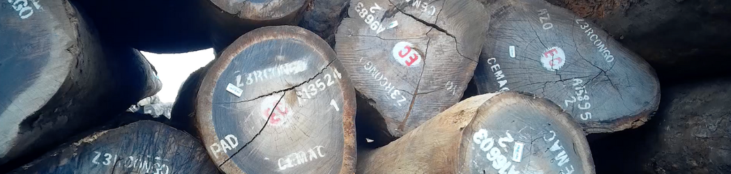 Until the Last Log — EIA