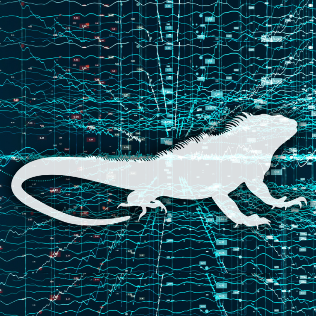 Los Iguana Papers — EIA