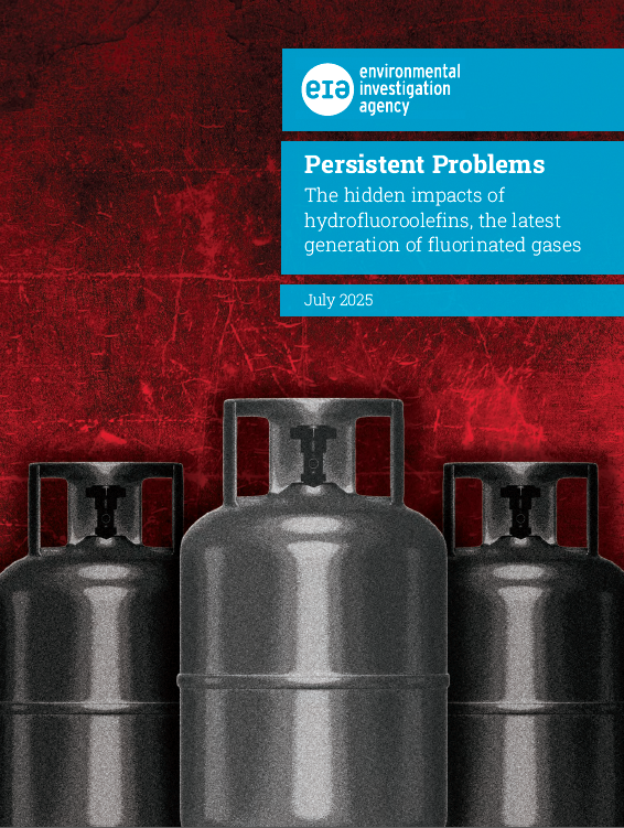 Persistent Problems — EIA