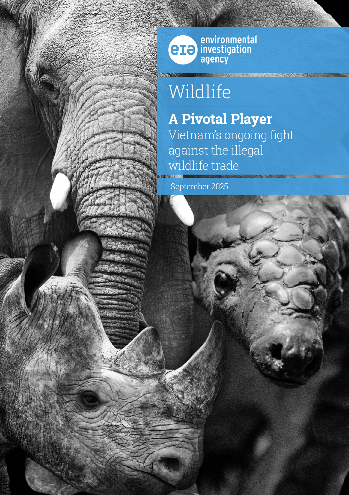 A Pivotal Player — EIA